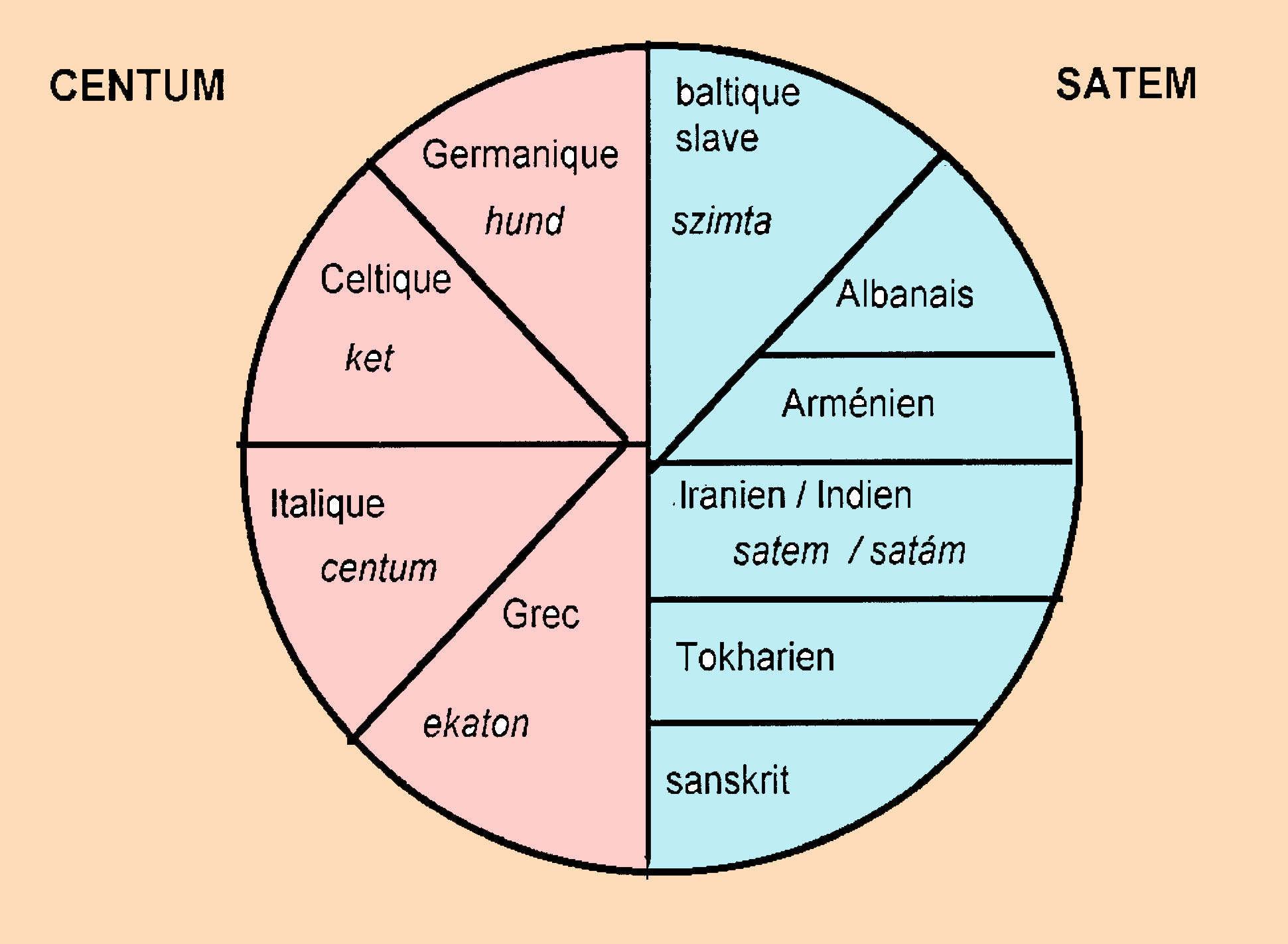 STRUCTURES DU FRANÇAIS CONTEMPOR